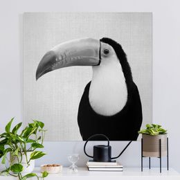 Bilderwelten Leinwandbild Tiere Motiv Kunstdruck schwarz weiss - Tukan Torben Schwarz Wei&szlig; - V&ouml;gel XXL Kinderzimmer Baby M&auml;dchen Jungen