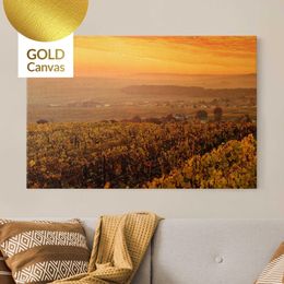 Bilderwelten Leinwandbild Weinplantage bei Sonnenuntergang