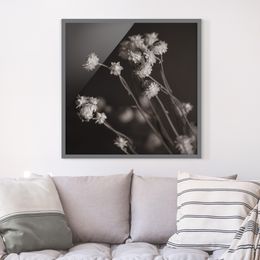 Bilderwelten Bild mit Rahmen G&auml;nsebl&uuml;mchen Studie
