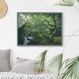 Bilderwelten Bild mit Rahmen Magischer Baum