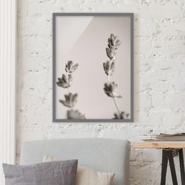 Bilderwelten Bild mit Rahmen Lavendel Studie