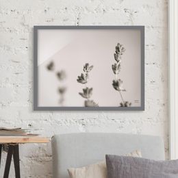 Bilderwelten Bild mit Rahmen Lavendel Studie