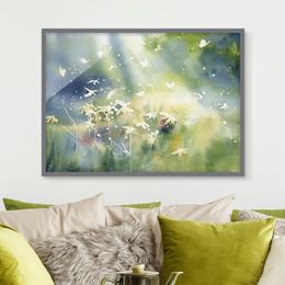 Bilderwelten Bild mit Rahmen Schmetterlinge, Licht und Blumen