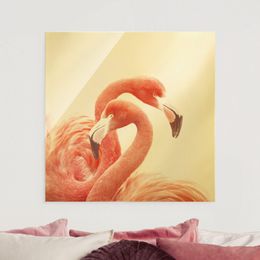 Bilderwelten Glasbild Tiere Motiv pink Glas Wandbild - Zwei Flamingos - V&ouml;gel Wohnzimmer Schlafzimmer