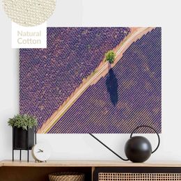 Bilderwelten Leinwandbild Natur Motiv Kunstdruck violett - Lavendelfeld Draufsicht - Landschaft XXL Wohnzimmer Schlafzimmer
