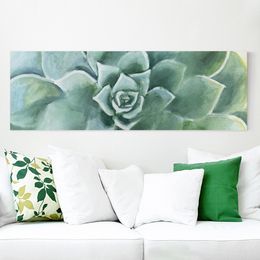 Bilderwelten Leinwandbild - Panorama Sukkulente Aquarell Dunkel