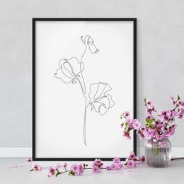 Bilderwelten Bild mit Rahmen Line Art Blumen - Erbsenpflanze
