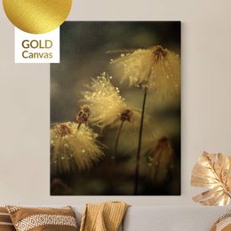 Bilderwelten Leinwandbild - Hochformat Pusteblumen mit Schneeflocken