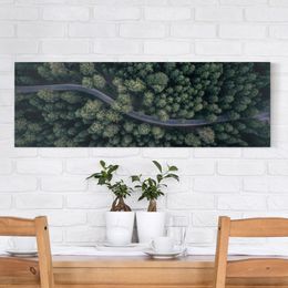 Bilderwelten Leinwandbild - Panorama Luftbild - Waldstra&szlig;e von Oben
