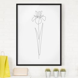 Bilderwelten Bild mit Rahmen Line Art Blumen - Iris
