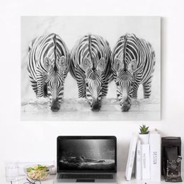 Bilderwelten Leinwandbild - Querformat Zebra Trio schwarz-wei&szlig;