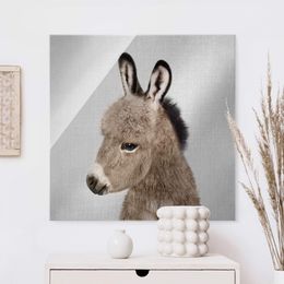 Bilderwelten Glasbild Tiere Motiv schwarz weiss Glas Wandbild - Esel Ernesto - Deko Kinderzimmer Baby M&auml;dchen Jungen