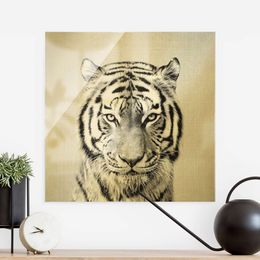 Bilderwelten Glasbild Tiere Motiv schwarz weiss Glas Wandbild - Tiger Tiago Schwarz Wei&szlig; - Tiger Kinderzimmer Baby M&auml;dchen Jungen