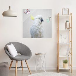 Bilderwelten Glasbild Tiere Motiv schwarz weiss Glas Wandbild - Kakadu Kiki - V&ouml;gel Kinderzimmer Baby M&auml;dchen Jungen