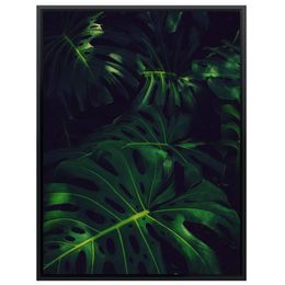 Bilderwelten Leinwandbild - Hochformat Monsteradschungel