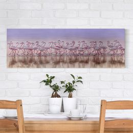 Bilderwelten Leinwandbild - Panorama Flamingo Party