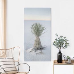 Bilderwelten Leinwandbild Yucca Palme in wei&szlig;em Sand
