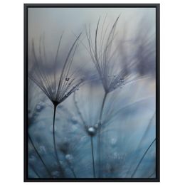 Bilderwelten Leinwandbild - Hochformat Blaue Federn im Regen