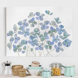 Bilderwelten Leinwandbild - Querformat Blaue Hortensienbl&uuml;ten