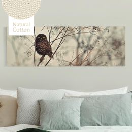 Bilderwelten Leinwandbild - Panorama Eule im Winter