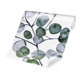 Fototapete Gr&uuml;nes Aquarell Eukalyptuszweig