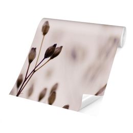 Fototapete Dunkle Knospen am Wildblumenzweig