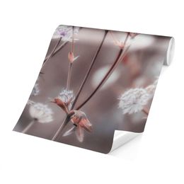 Fototapete Federleichte Wildblumen