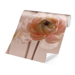 Fototapete Zarter Strauch an Rosa Bl&uuml;ten