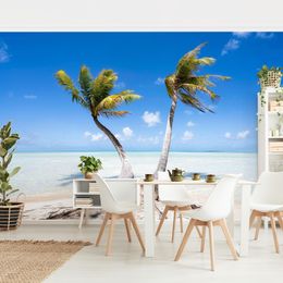 Bilderwelten Fototapete Urlaub unter Palmen