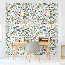 Bilderwelten Fototapete Wildblumen auf Wei&szlig; Wohnzimmer,Schlafzimmer Vliestapete inkl. Kleister oder selbstklebend