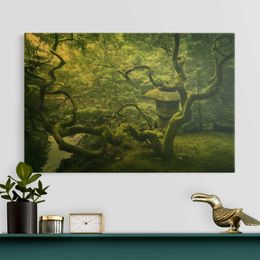 Bilderwelten Leinwandbild Magischer Baum