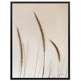 Bilderwelten Leinwandbild Feldgrass in Sepia II