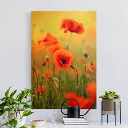 Bilderwelten Leinwandbild - Hochformat Roter Sommermohn