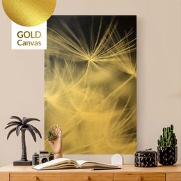 Bilderwelten Leinwandbild - Hochformat Bewegte Pusteblumen Nahaufnahme auf schwarzem Hintergrund