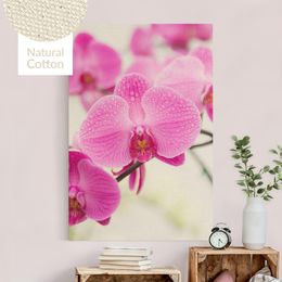 Bilderwelten Leinwandbild - Hochformat Nahaufnahme Orchidee