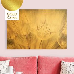 Bilderwelten Leinwandbild - Querformat Pusteblumen Nahaufnahme in wohnlicher Sepia T&ouml;nung