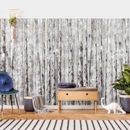 Bilderwelten Fototapete Wald Abstrakt Holzoptik schwarz weiss - Malerischer Birkenwald - B&auml;ume Wohnzimmer Schlafzimmer