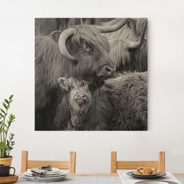 Bilderwelten Leinwandbild Tiere modern Kunstdruck braun - Hochlandrind Familie - Wandbild XXL Wohnzimmer Schlafzimmer