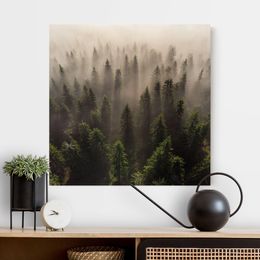 Bilderwelten Leinwandbild Nebel im sonnigen Wald