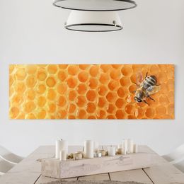 Bilderwelten Leinwandbild - Panorama Honey Bee