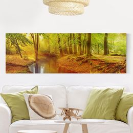 Bilderwelten Leinwandbild - Panorama Herbstwald