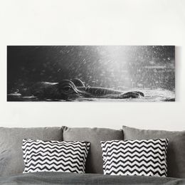 Bilderwelten Leinwandbild - Panorama Hippo Bob Up