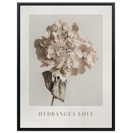 Bilderwelten Leinwandbild Hydrangea Love
