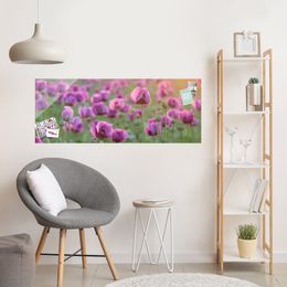 Bilderwelten Glasbild - Panorama Violette Schlafmohn Blumenwiese im Fr&uuml;hling