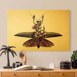 Bilderwelten Leinwandbild Illustration florale Mantis
