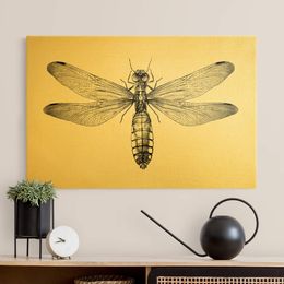 Bilderwelten Leinwandbild Illustration fliegende Libelle Schwarz