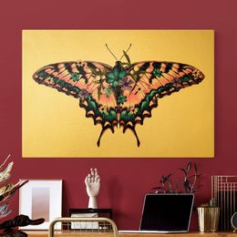 Bilderwelten Leinwandbild Illustration floraler Tiger Schwalbenschwanz
