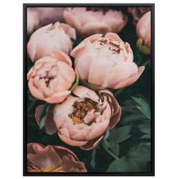 Bilderwelten Leinwandbild Ein Bouquet aus Pfingstrosen