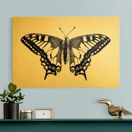 Bilderwelten Leinwandbild Illustration fliegender Schwalbenschwanz Schwarz
