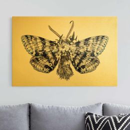 Bilderwelten Leinwandbild Illustration florale Motte